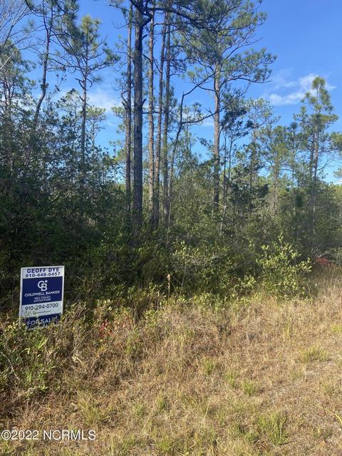 78 Boiling Spring Lakes Homes for Sale - Boiling Spring Lakes NC Real ...