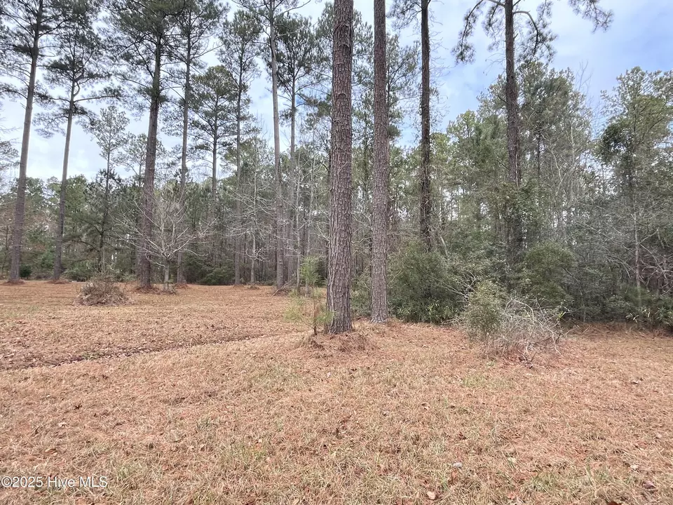 464 Dawson Creek Blvd, Oriental, NC 28571 | MLS# 100483348 | 22 Photos ...