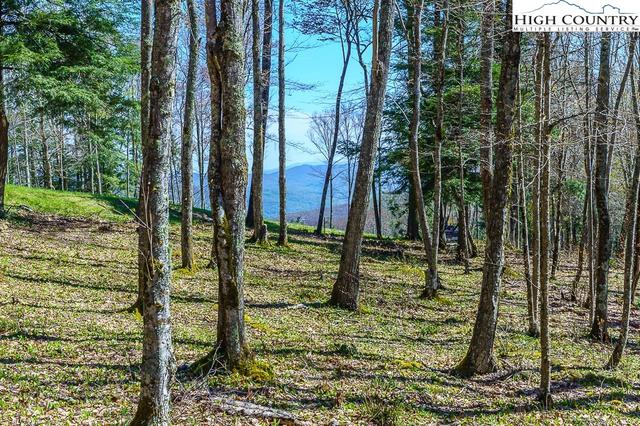 113 Eagle Park Drive, Banner Elk, NC 28604 - Movoto