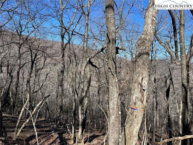 Round Tree Apartments, Boone Homes For Sale & Real Estate | Movoto