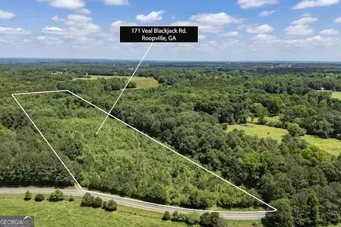 22 Roopville Homes For Sale & Roopville, GA Real Estate - Movoto