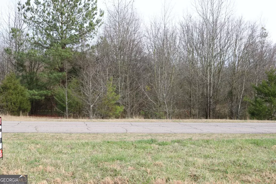 0 45 Acres Paoli St, Comer, GA 30629 | MLS# 10459347 | 8 Photos - Movoto