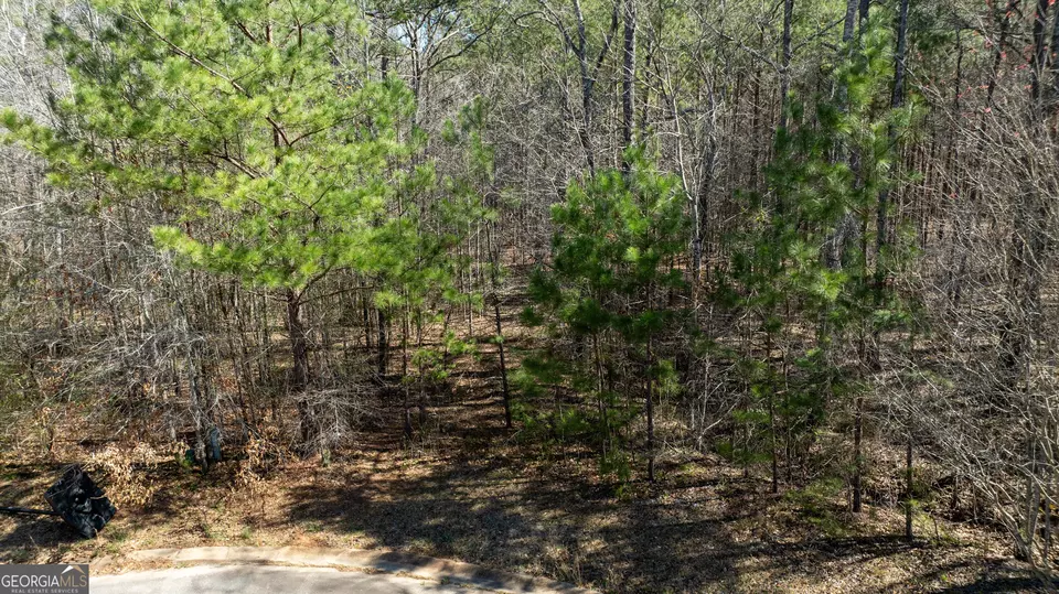 0 Bent Tree Ct #LOT A-20, Newnan, GA 30263 | MLS# 10483878 | 25 Photos ...