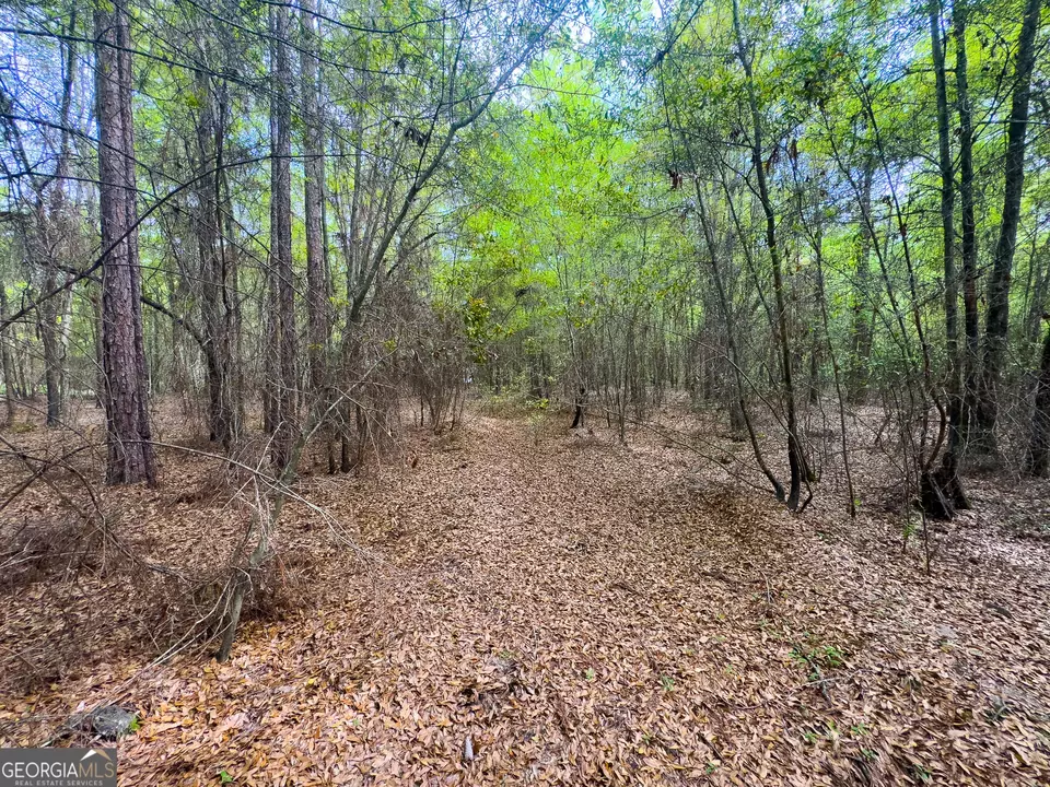 0 Shell Bluff Country Ests, Waynesboro, GA 30830 | MLS# 10502637 | 9 ...