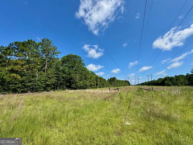 650 Benjamin H Hill Dr, Fitzgerald, GA 31750 | MLS# 10546851 | 10 ...