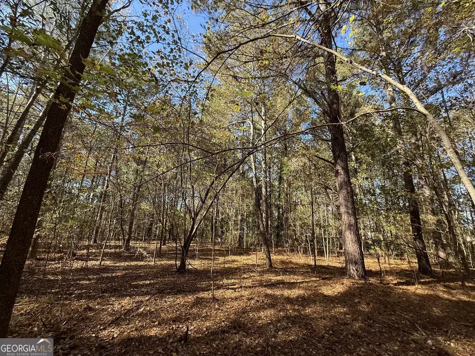 1 Lem Edwards Rd, Colbert, GA 30628 | MLS# 10641115 | 53 Photos - Movoto