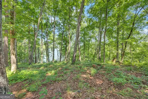 177 Night Hawk Ct, Monticello, GA 31064 | MLS# 10781628 | 76 Photos ...