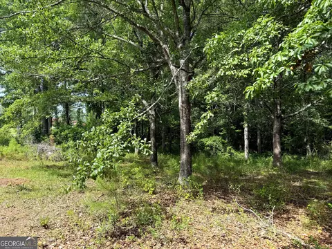 2391 Chalybeate Rd, Manchester, GA 31816 | MLS# 10786952 | 15 Photos ...