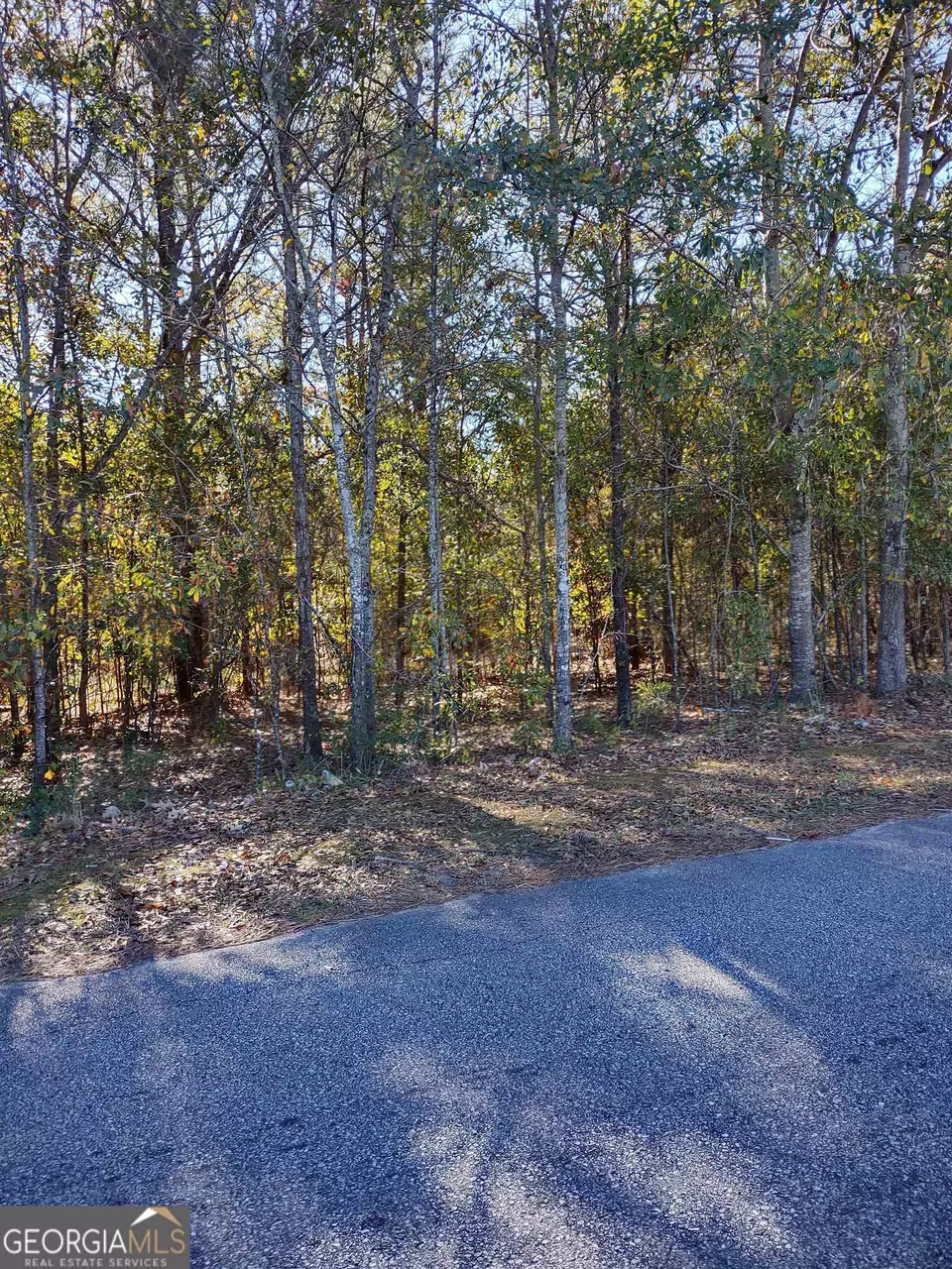 4820 Mamie Carter Dr, Macon, GA 31210 | 2 Photos - Movoto
