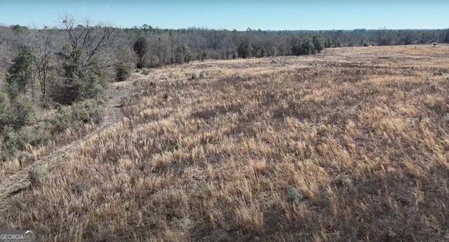 Alston, GA Homes For Sale & Real Estate - Movoto