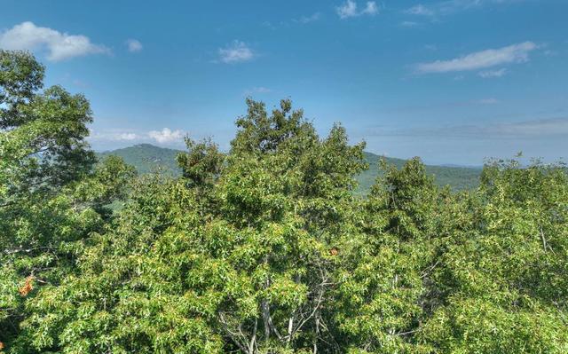 6 Green Ridge Mountain, Blue Ridge, GA 30513 | 14 Photos - Movoto
