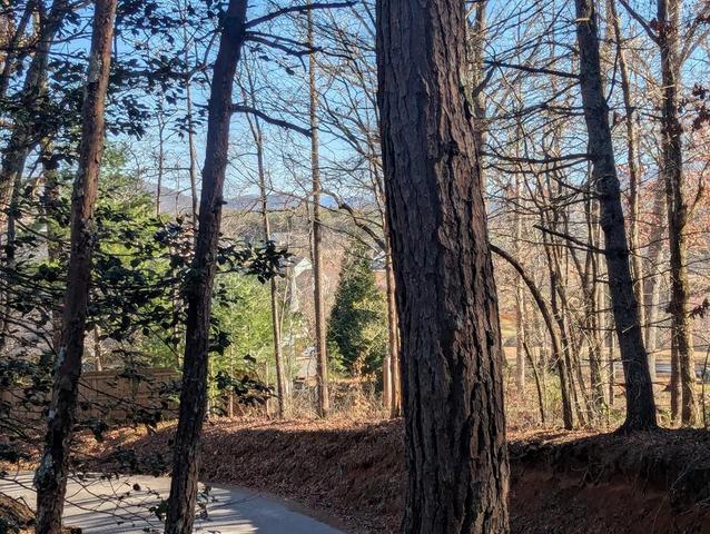 0 Ivy Log Dr, Blairsville, GA 30546 | MLS# 413720 | 16 Photos - Movoto