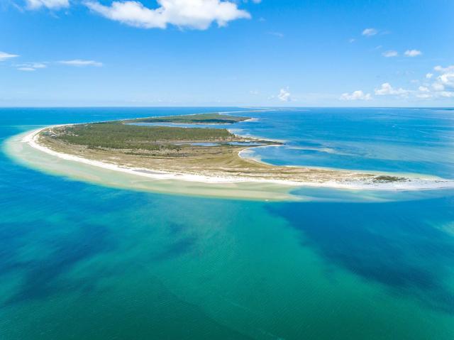 262 Gulf Shore Dr, Dog Island, FL 32322 - Movoto