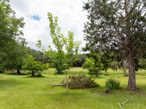 1148 NW St Thomas Church Road Rd, Madison, FL 32340 | 36 Photos - Movoto