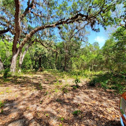 Tbd Double Run Road, Astatula, FL 34705 | 5 Photos | MLS #G5067359 - Movoto
