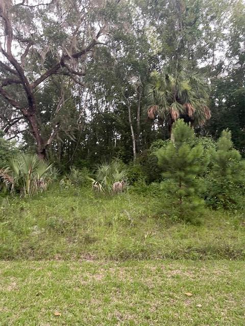 10 Mcintosh Homes for Sale - Mcintosh FL Real Estate - Movoto