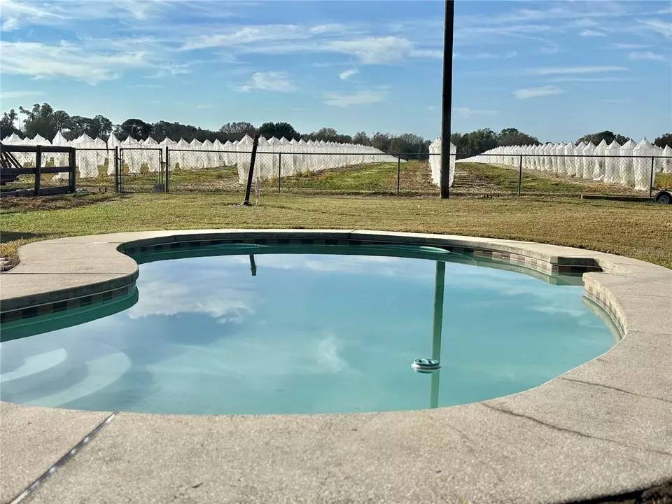 1173 Jody Rd, Bartow, FL 33830 | 22 Photos - Movoto