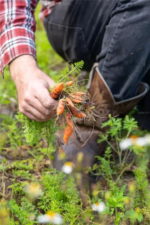 5035 Barlow Loop Rd, Lakeland, FL 33811 - Movoto
