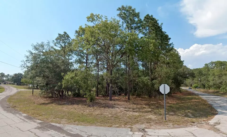 2565 W Laredo Dr, Citrus Springs, FL 34433 | 2 Photos - Movoto