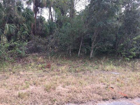 Hark Place, North Port, FL 34288 | 1 photo - Movoto