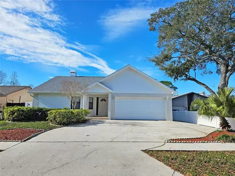Palm Harbor, FL Real Estate & Homes For Sale - Movoto