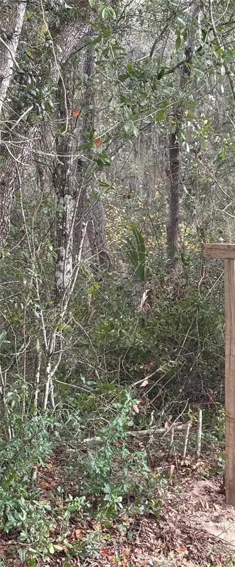 4830 State Road 11, De Leon Springs, FL 32130 - Movoto