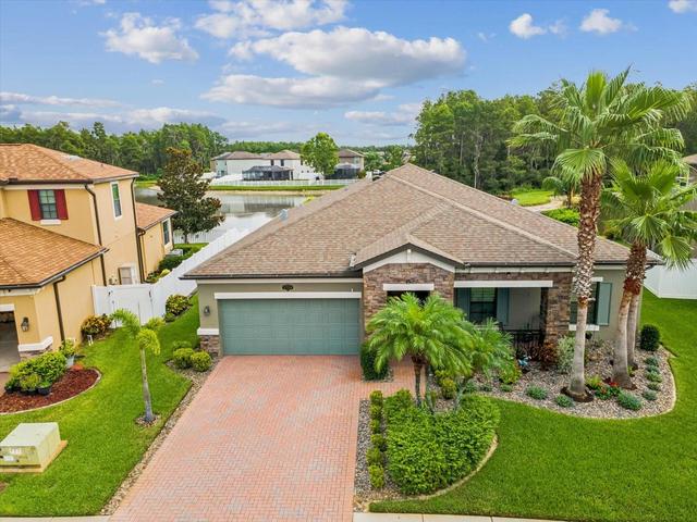 Trinity, FL Homes for Sale | Trinity Real Estate | Movoto