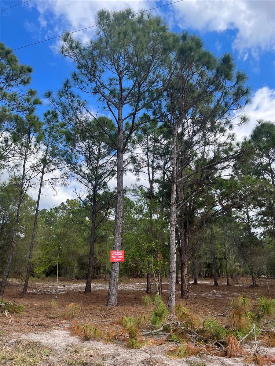 335 N Lindero St, Clewiston, FL 33440 - Movoto