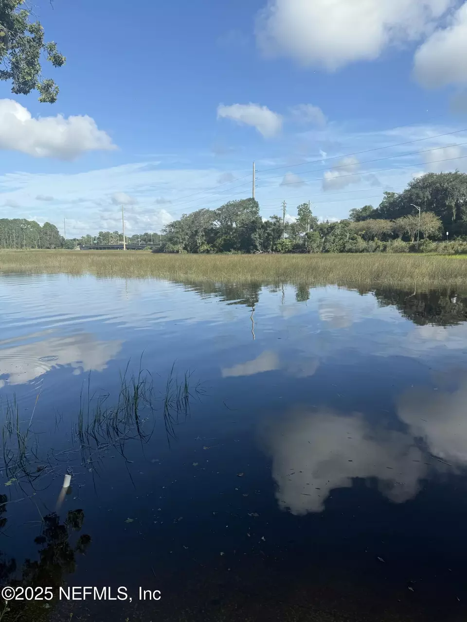 14162 Pleasant Point Ln, Jacksonville, FL 32225 | MLS# 2106675 | 8 ...