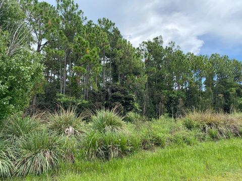 Xxxx 75th N Place, Loxahatchee, FL 33470 | 8 Photos | MLS #RX-10857329 ...