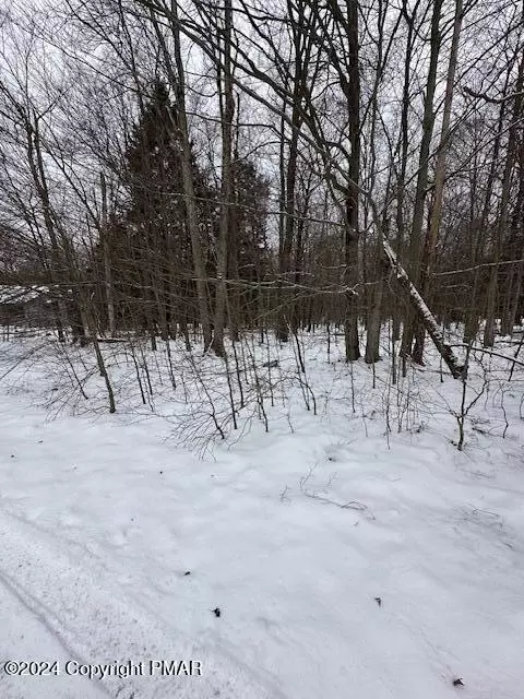 Delbert Dr-dd 132 Drive, Covington Township, PA 18424 | MLS# PM-120687 ...