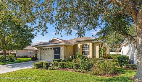 14465 Middle Fairway Dr, Spring Hill, FL 34609 | 1 photo - Movoto