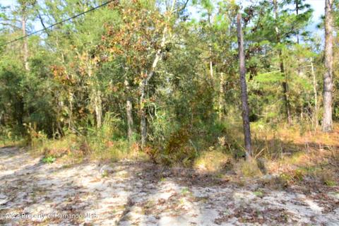 12381-01 Sunshine Grove Rd, Brooksville, FL 34614 - Movoto