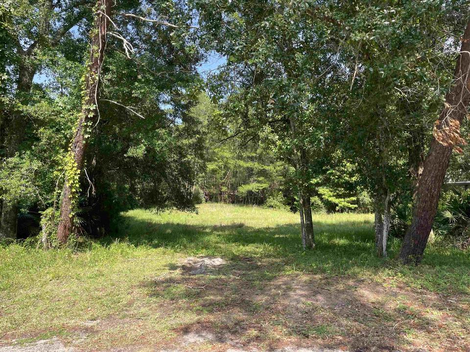 Delcie Drive, Saint Augustine, FL 32086 | 7 Photos - Movoto