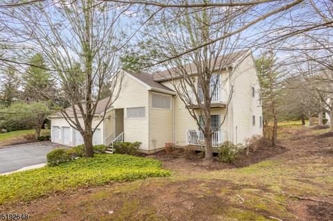 Condo/Townhouse Homes for Sale in Basking Ridge NJ.
