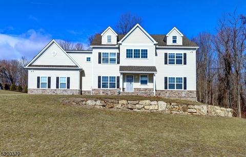 Single Family Homes for Sale in Flanders NJ