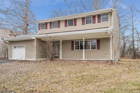 Single Family Homes for Sale in Flanders NJ