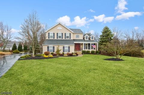 Single Family Homes for Sale in Branchburg NJ