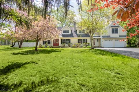 Single Family Homes for Sale in Basking Ridge NJ