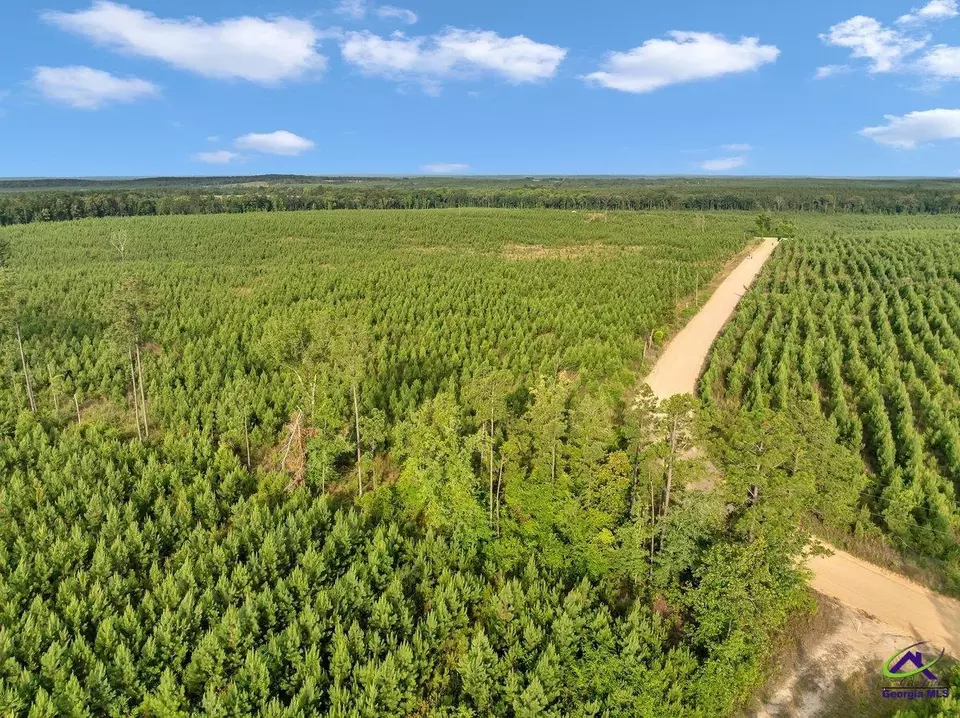 Parcel 13 Carl Rodgers Rd., Reynolds, GA 31076 | MLS# 260317 | 21 ...