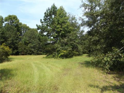 Lot 2 Shellman Bluff Road, Shellman Bluff, GA 31331 | 10 Photos | MLS ...