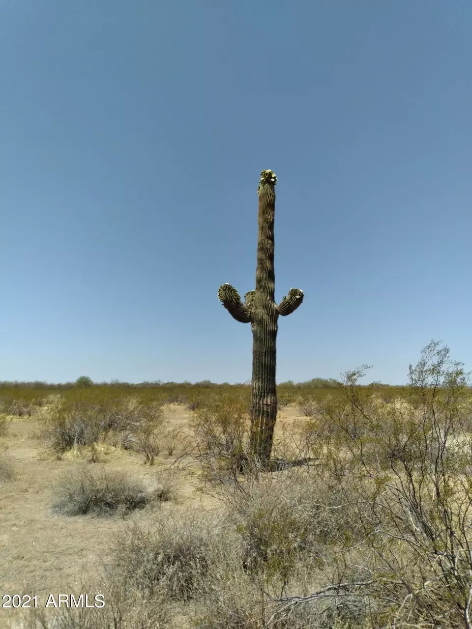 30716 N 255th Ave #5, Wittmann, AZ 85361 | 10 Photos - Movoto