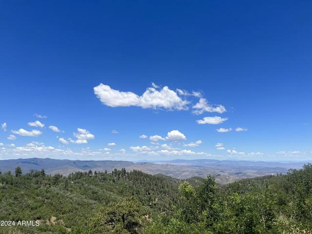 Crown King, AZ Homes with Cabin For Sale - Movoto