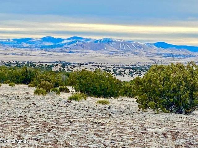 9 Concho Drive #-, Concho, AZ 85924 | MLS# 6835268 | 7 Photos - Movoto