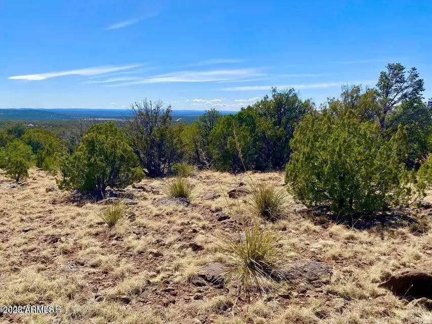 74 County Road 8056 -- #152, Concho, AZ 85924 | MLS# 6863067 | 20 ...