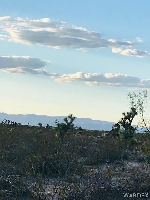 2565 S Jesse James Rd, Yucca, AZ 86438 | 15 Photos - Movoto