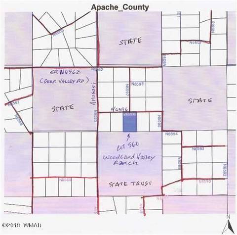 Lot 560 Woodland Valley Ranch N6596, Saint Johns, AZ 85936 | 5 Photos ...