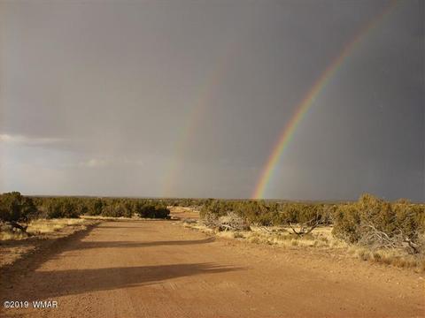Lot 560 Woodland Valley Ranch N6596, Saint Johns, AZ 85936 | 5 Photos ...