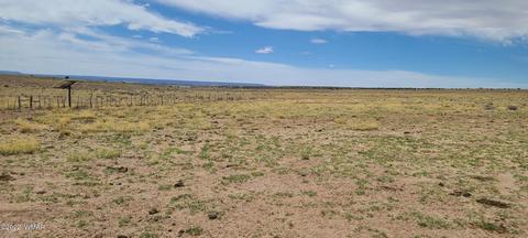 Lot 190 River Meadows Ranch, Concho, AZ 85924 | 11 Photos - Movoto