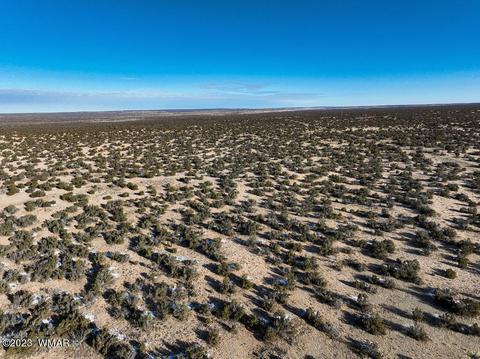 Lot 42a Witch Well Ranches, Saint Johns, AZ 85936 | 6 Photos - Movoto